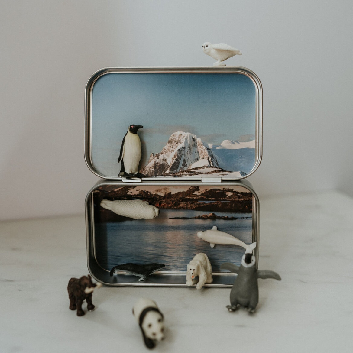 Mini Animal Tins · Studio 331
