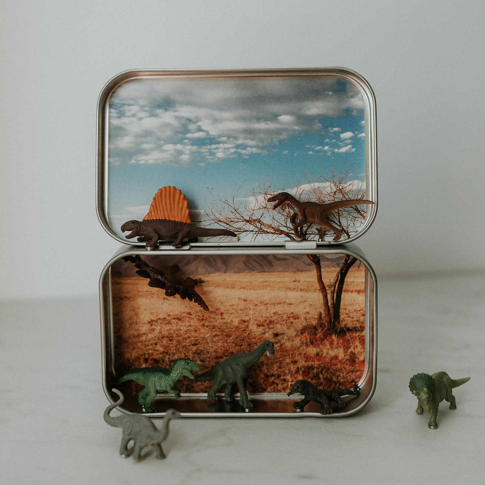 Mini Magnetic Animal Tin (Under the Sea) · Studio 331