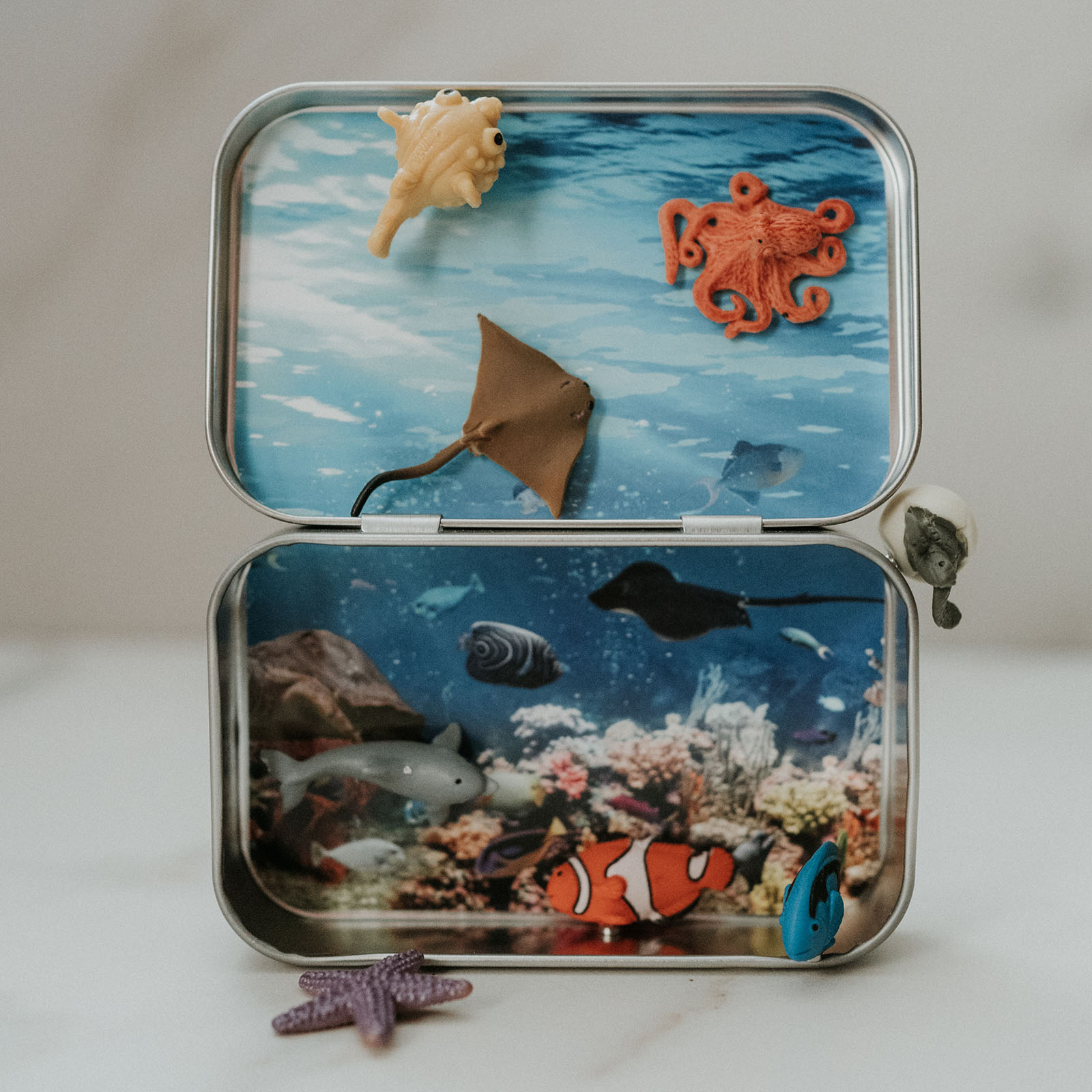 Mini Magnetic Animal Tin (Under the Sea) · Studio 331