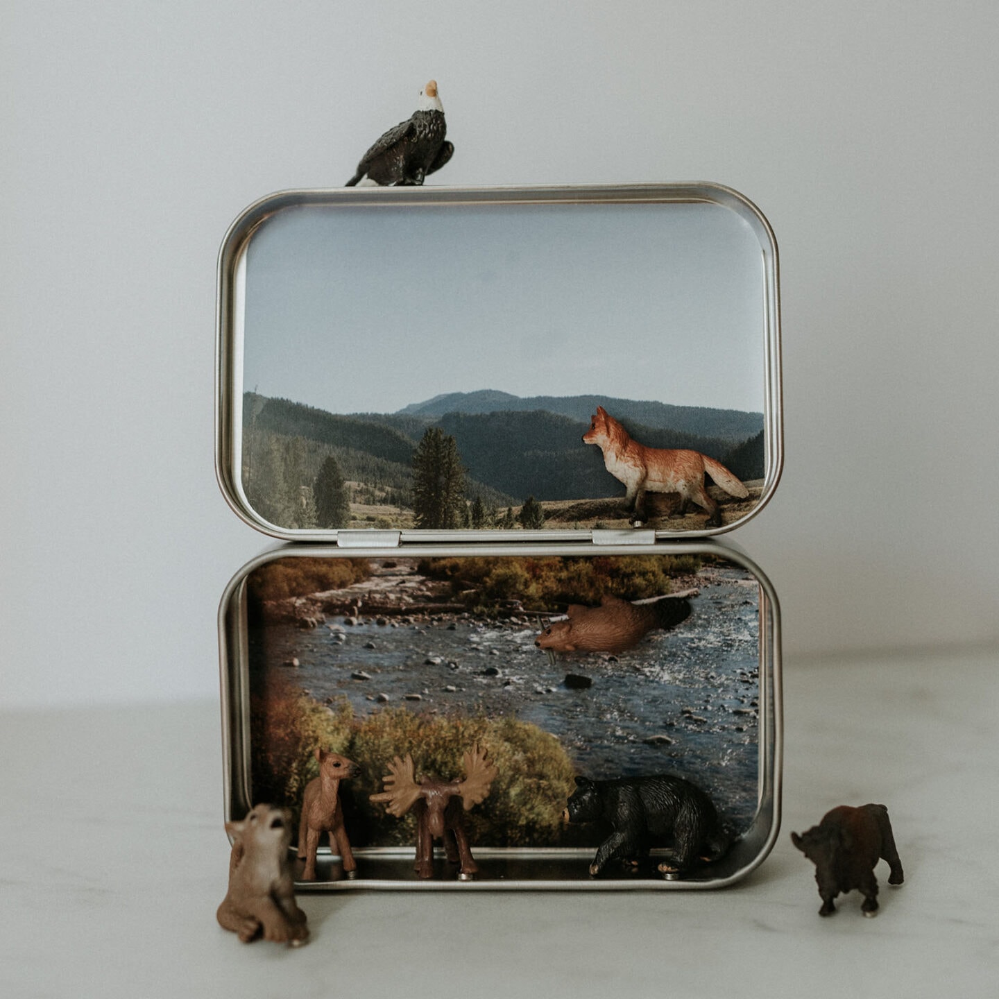 Mini Animal Tins · Studio 331